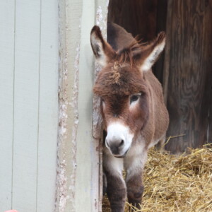 Explore daily photo journals around the world | Blipfoto