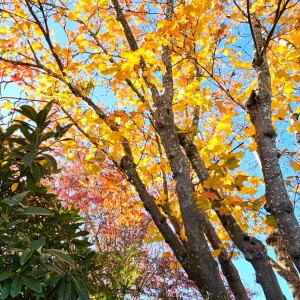 Explore daily photo journals around the world | Blipfoto