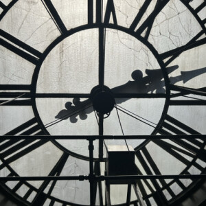 Explore daily photo journals around the world | Blipfoto