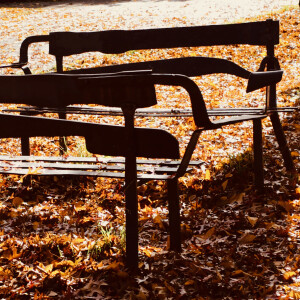 Explore daily photo journals around the world | Blipfoto