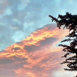 Explore daily photo journals around the world | Blipfoto