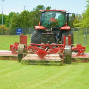 Explore daily photo journals around the world | Blipfoto