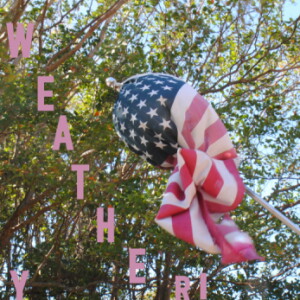 Explore daily photo journals around the world | Blipfoto